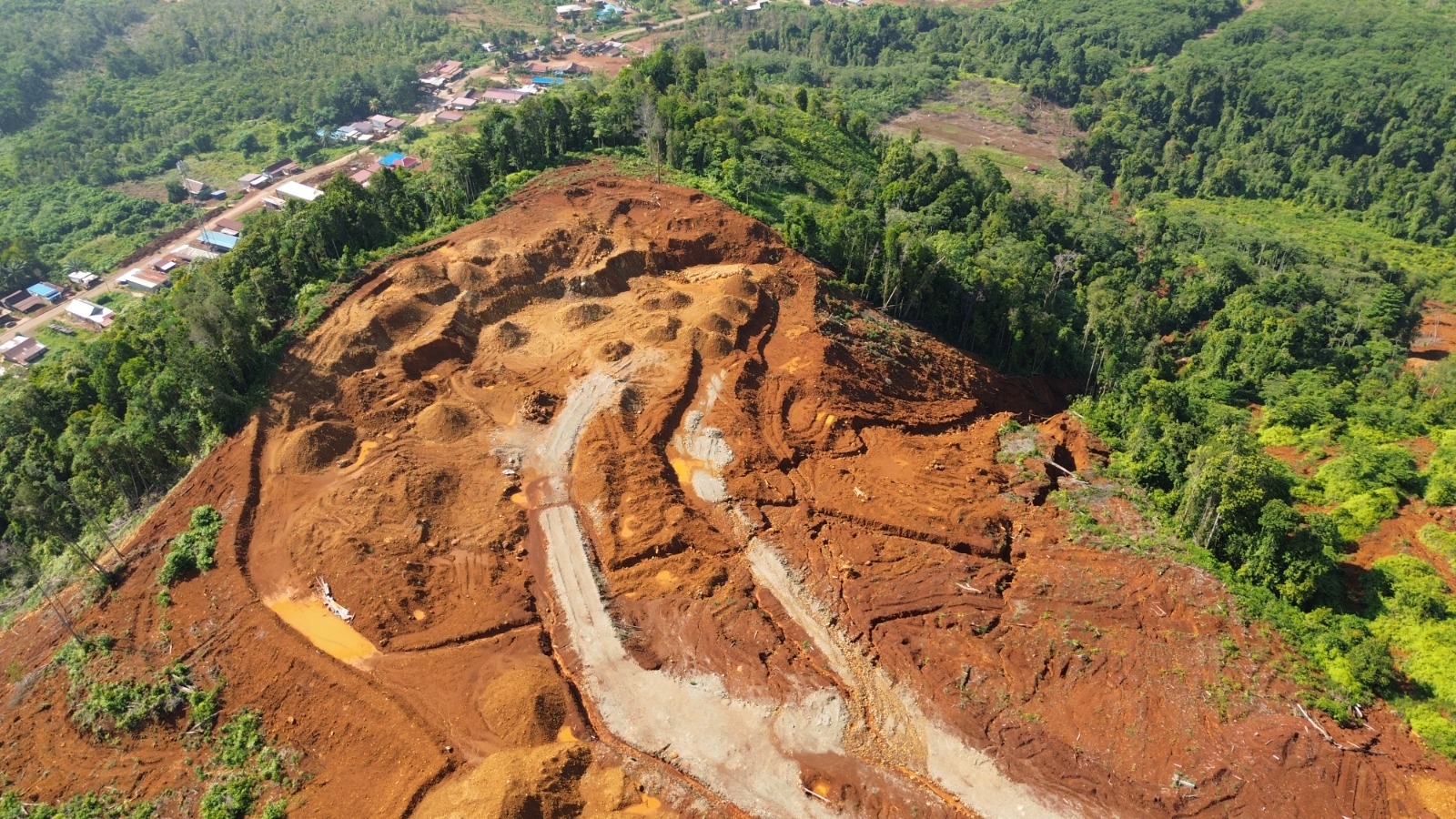 Lebih dari 425 Ribu Hektare Hutan di Sulteng Hilang dalam Sembilan ...